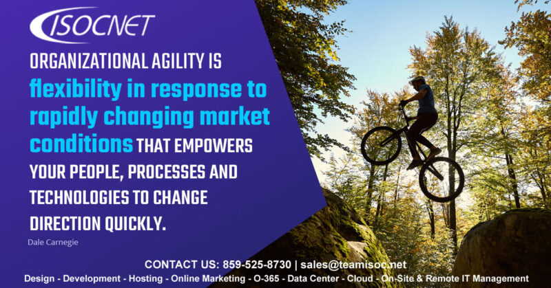 What is Organizational Agility? Why is it Important to Success?